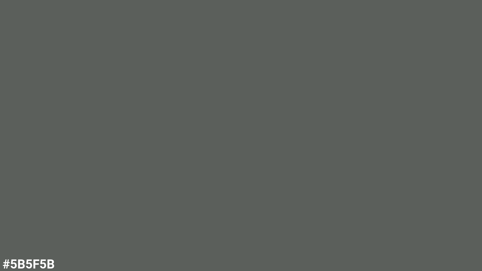 Pantone P 177 13 U | #5B5F5B - Detailed Color Information and Usage Pantone P 177 13 U | #5B5F5B - Detailed Color Information and Usage