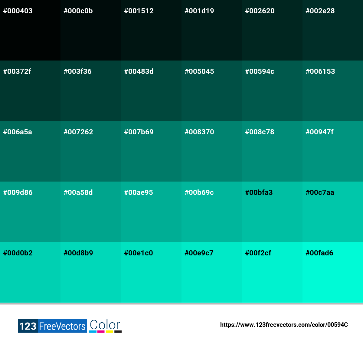 Pantone 561 C | #00594C - Detailed Color Information and Usage