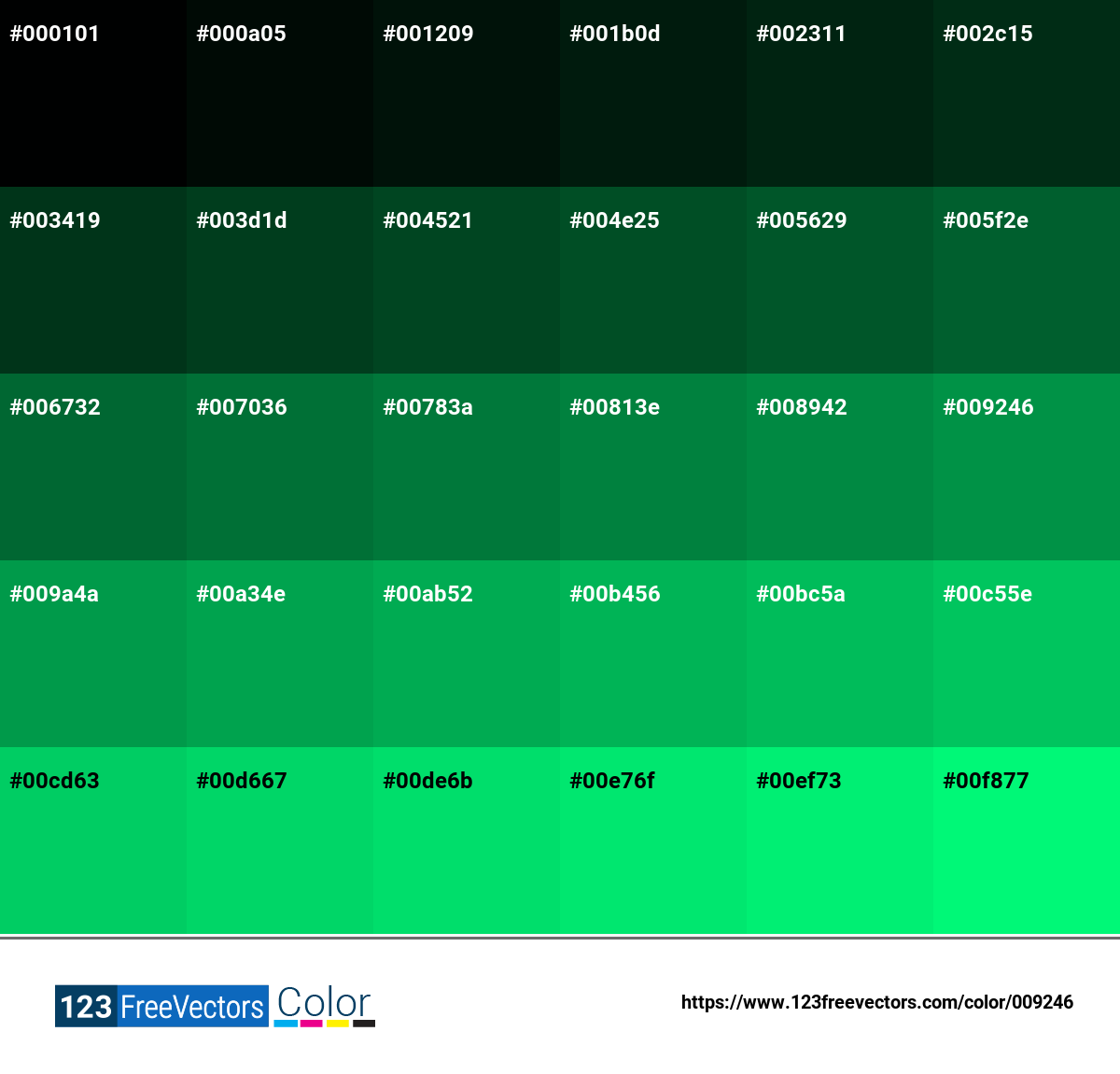 Pantone 17 6153 Tpx | Fern Green | #009246 - Detailed Color Information ...