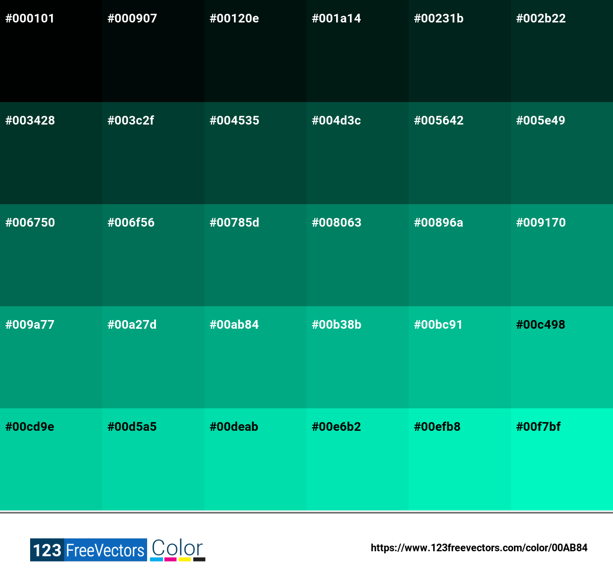 Pantone Green C | #00AB84 - Detailed Color Information and Usage