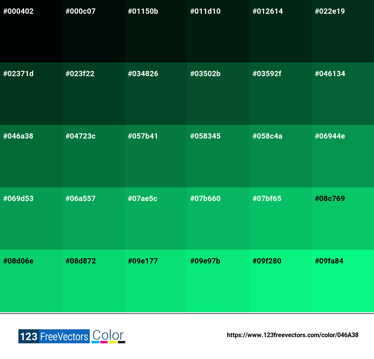 Pantone 349 C | #046A38 - Detailed Color Information and Usage Pantone 349 C | #046A38 - Detailed Color Information and Usage