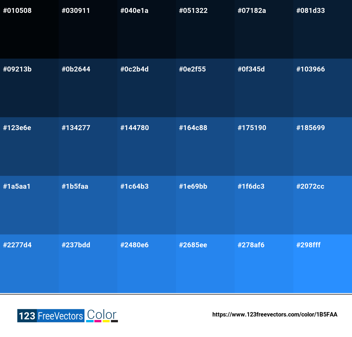Pantone 2935 U | #1B5FAA - Detailed Color Information and Usage