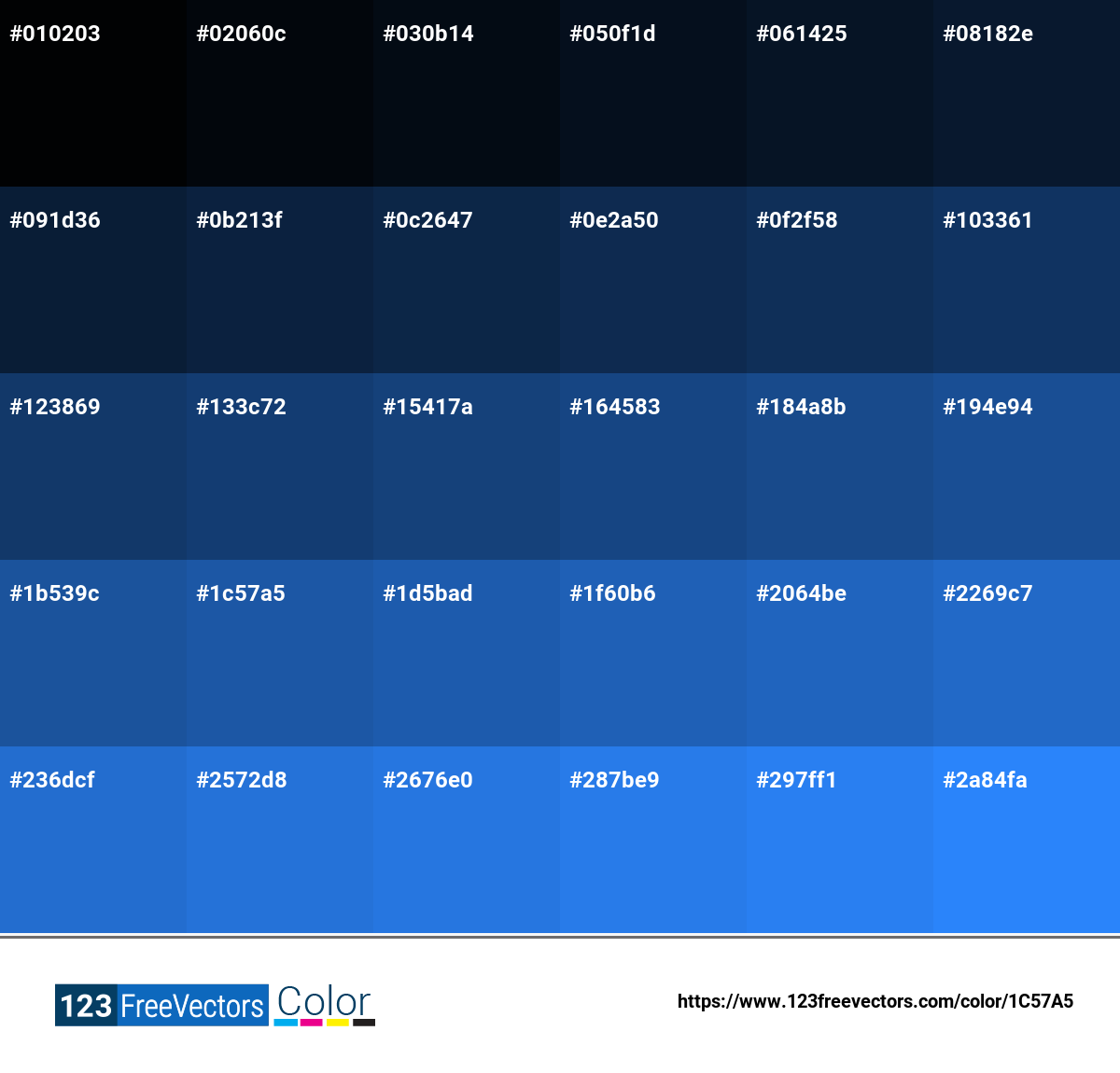 Pantone 2133 C | #1C57A5 - Detailed Color Information and Usage