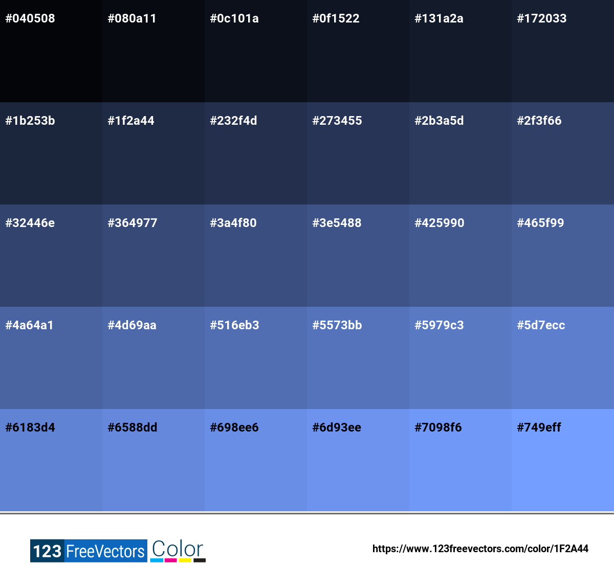 Pantone 533 C | #1F2A44 - Detailed Color Information and Usage