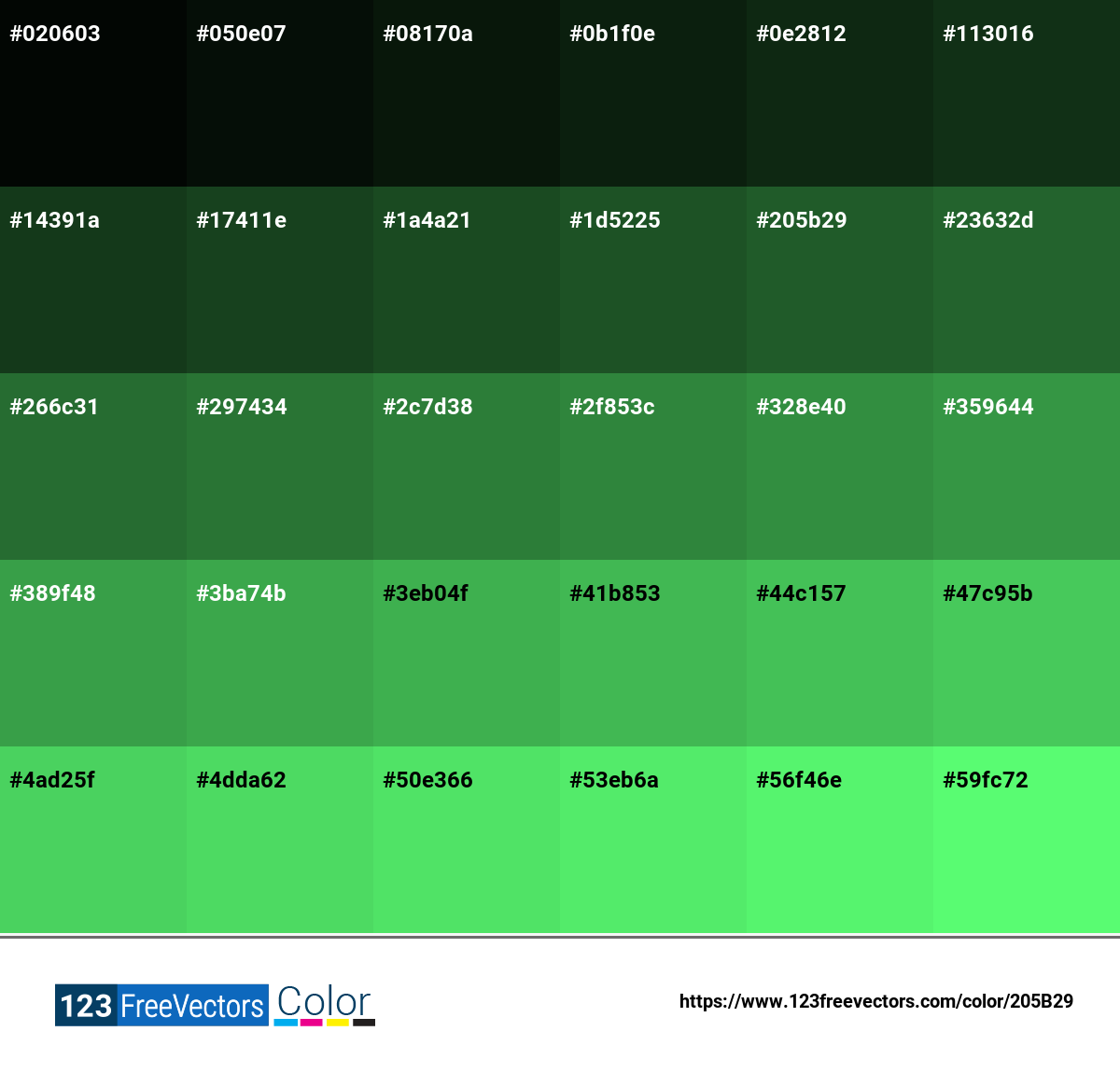 Pantone P 150 16 C | #205B29 - Detailed Color Information and Usage