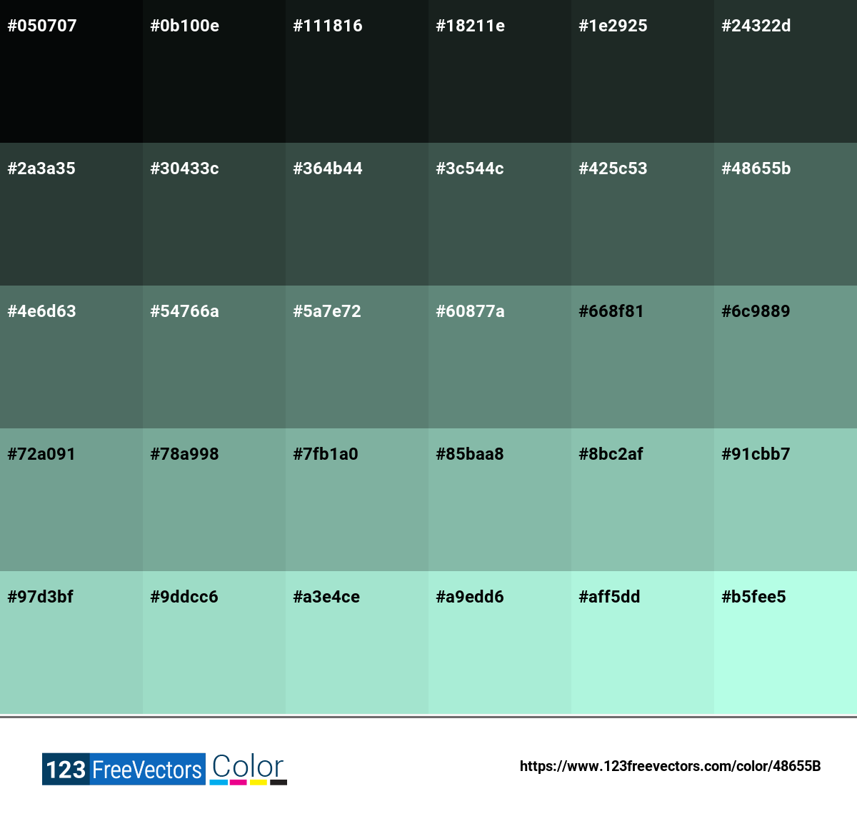 Pantone 343 U | #48655B - Detailed Color Information and Usage