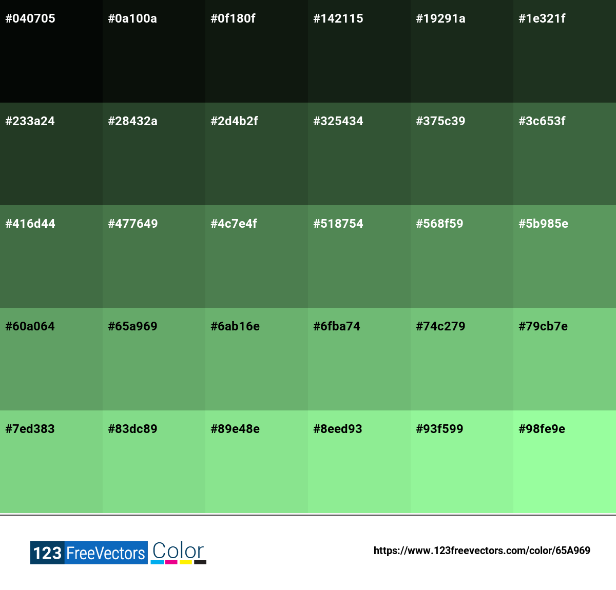 Pantone 7738 U | #65A969 - Detailed Color Information and Usage