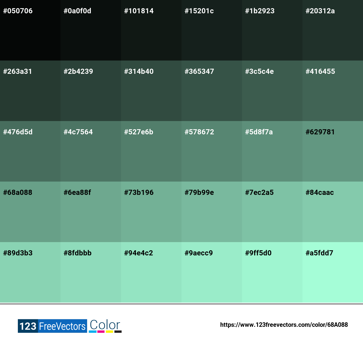 Pantone P 134 13 C | #68A088 - Detailed Color Information and Usage