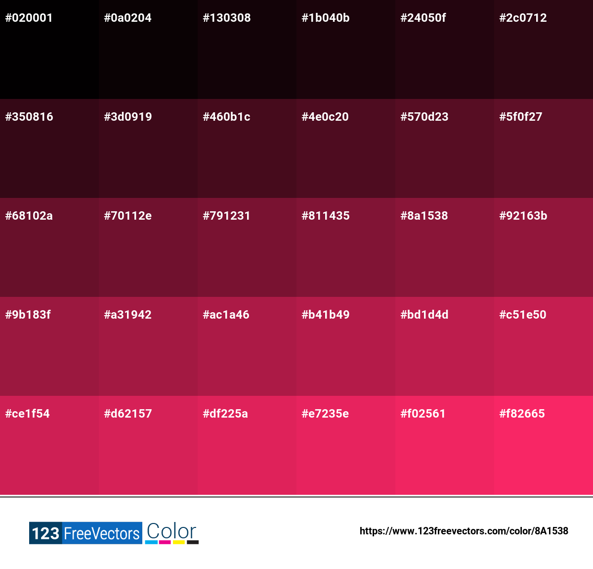Pantone 1955 C | #8A1538 - Detailed Color Information and Usage