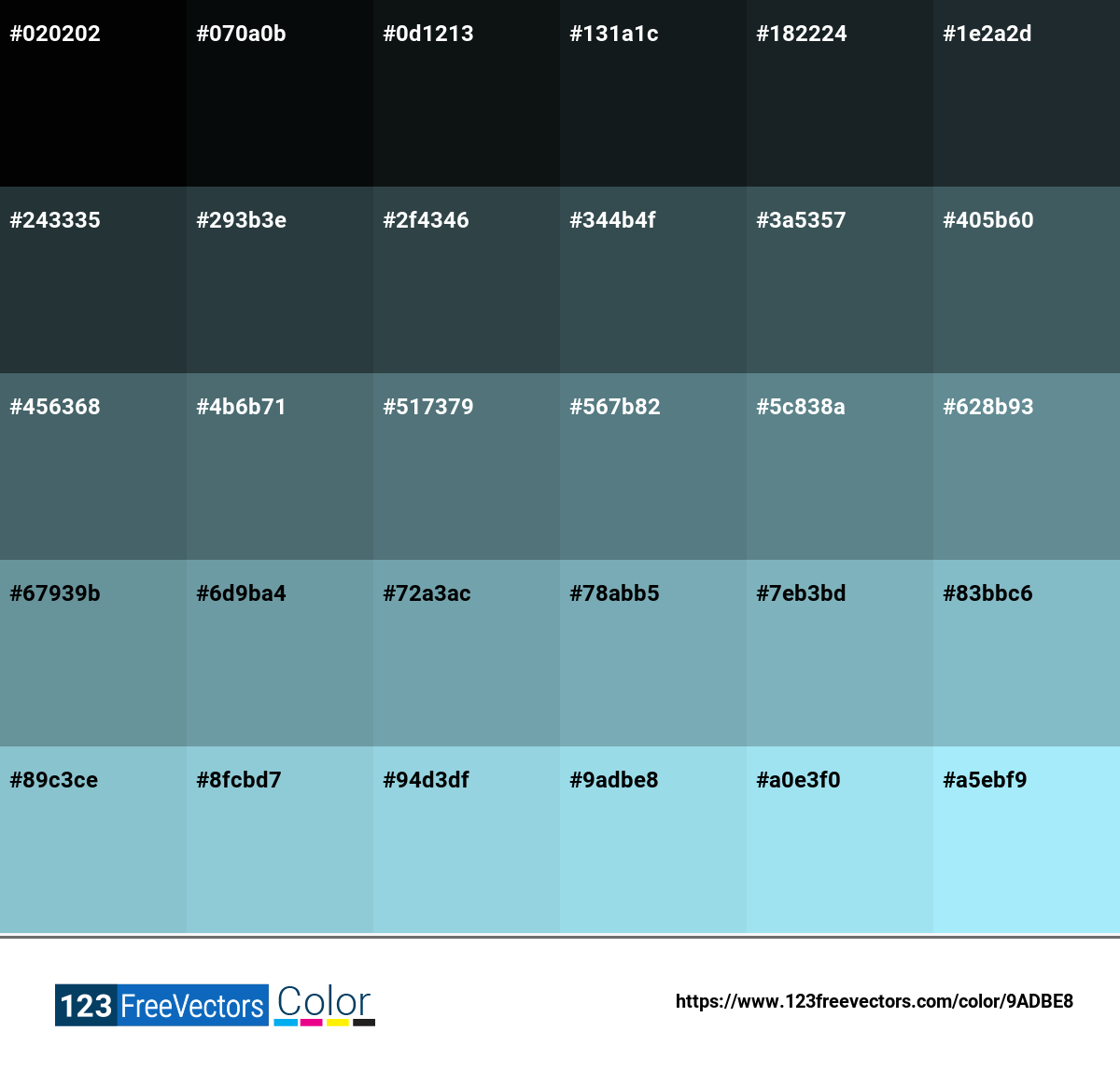 Pantone 304 C | #9ADBE8 - Detailed Color Information and Usage