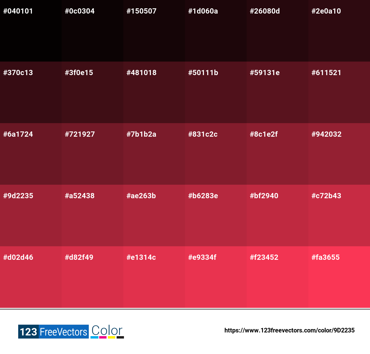 Pantone 201 C | #9D2235 - Detailed Color Information and Usage