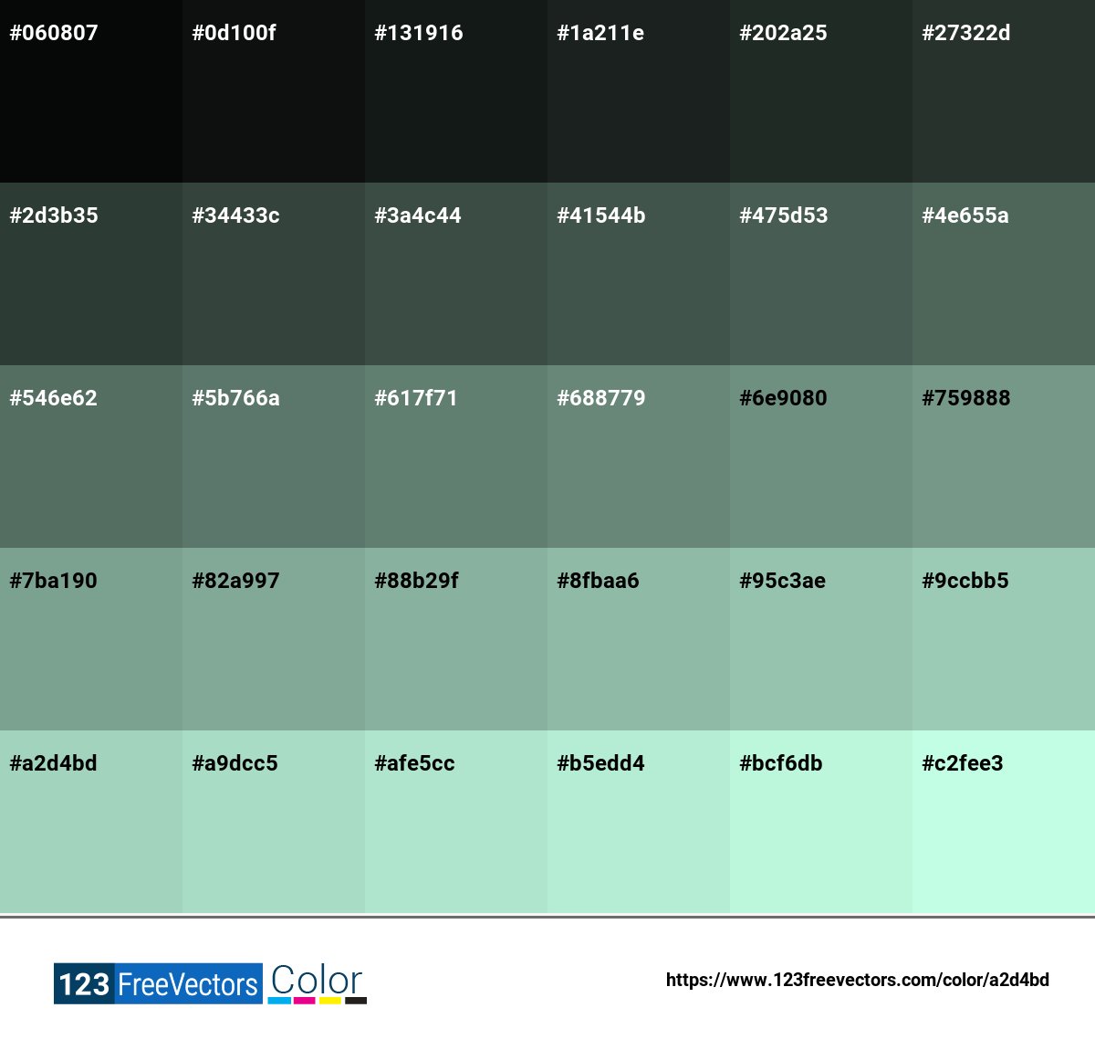 Flowering Cactus | #a2d4bd - Detailed Color Information and Usage