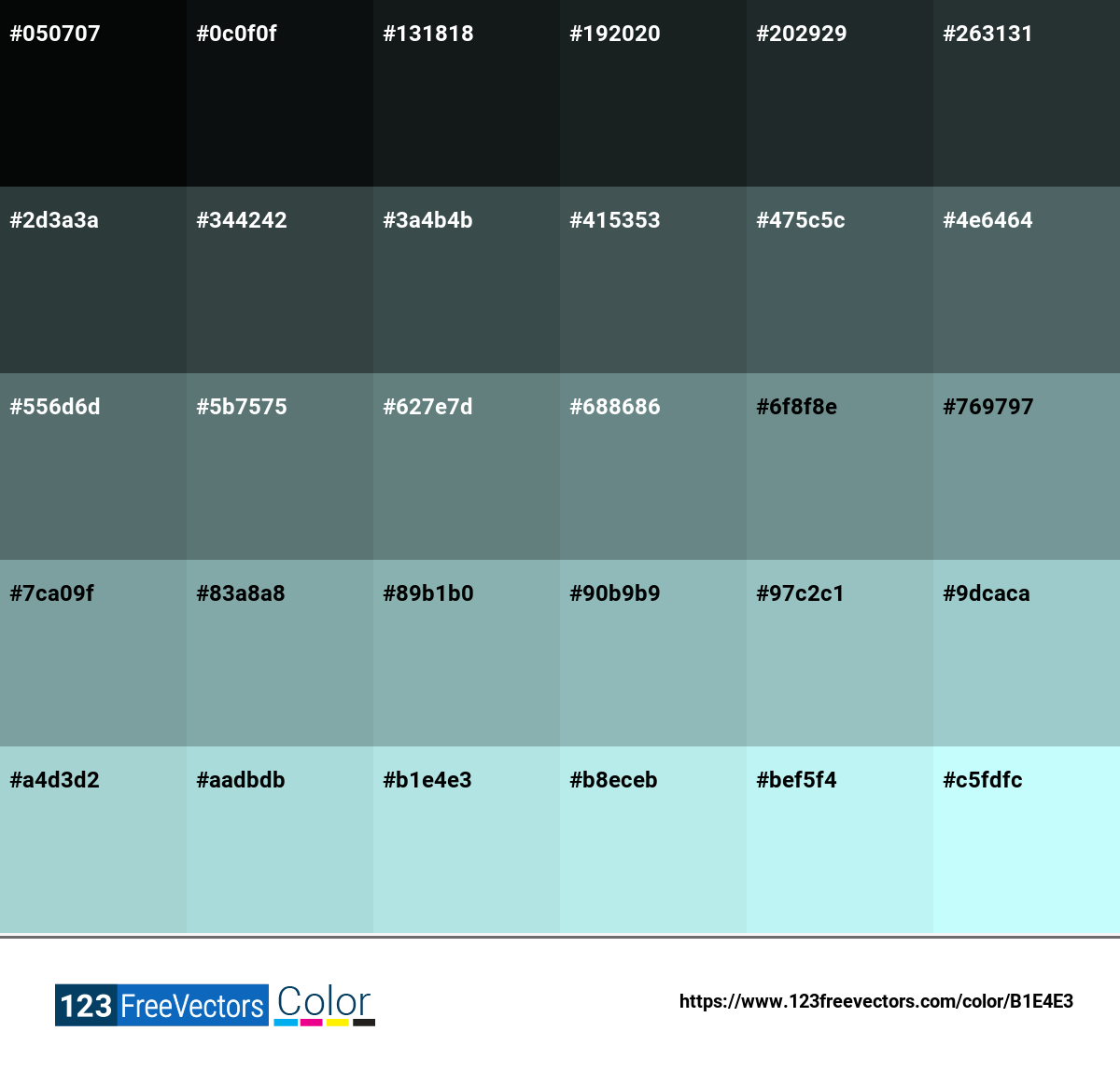 Pantone 317 C | #B1E4E3 - Detailed Color Information and Usage