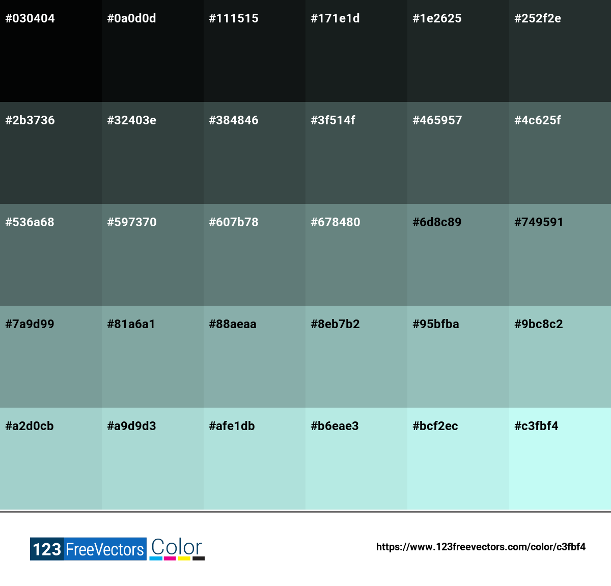 Duck Egg Blue | #c3fbf4 - Detailed Color Information and Usage