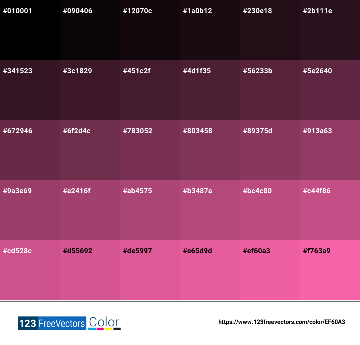 Pantone 2038 C | #EF60A3 - Detailed Color Information and Usage