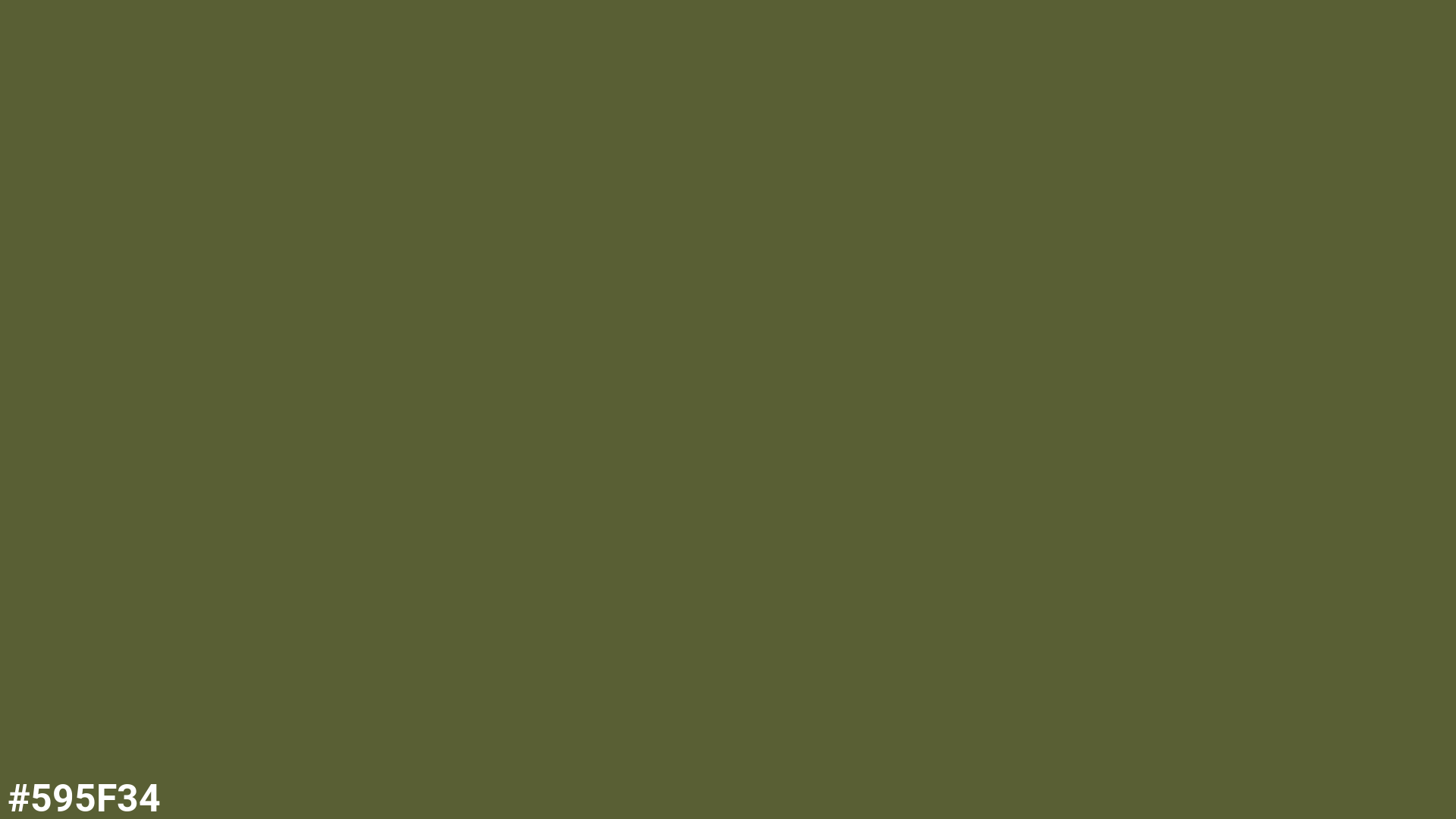 Pantone 18 0228 Tcx | Pesto | #595F34 - Detailed Color Information and ...