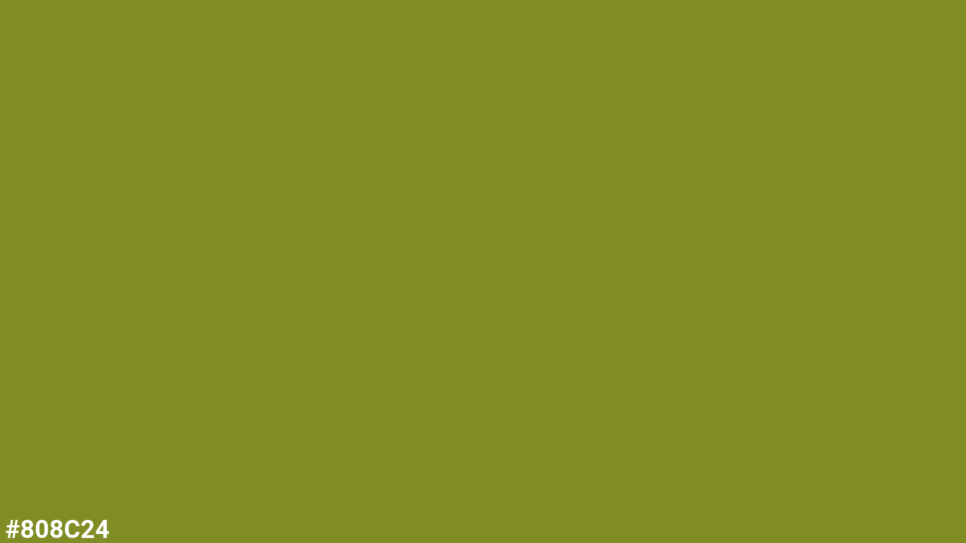 Pantone 2306 C | #808C24 - Detailed Color Information and Usage