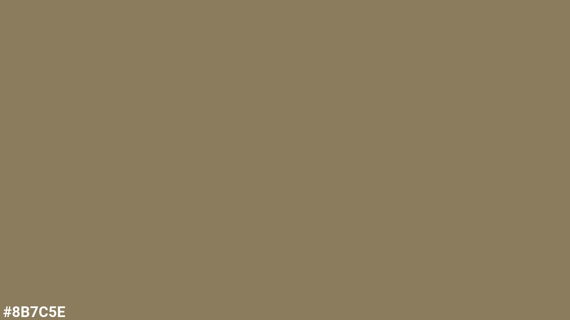 Pantone 2326 C | #8B7C5E - Detailed Color Information and Usage