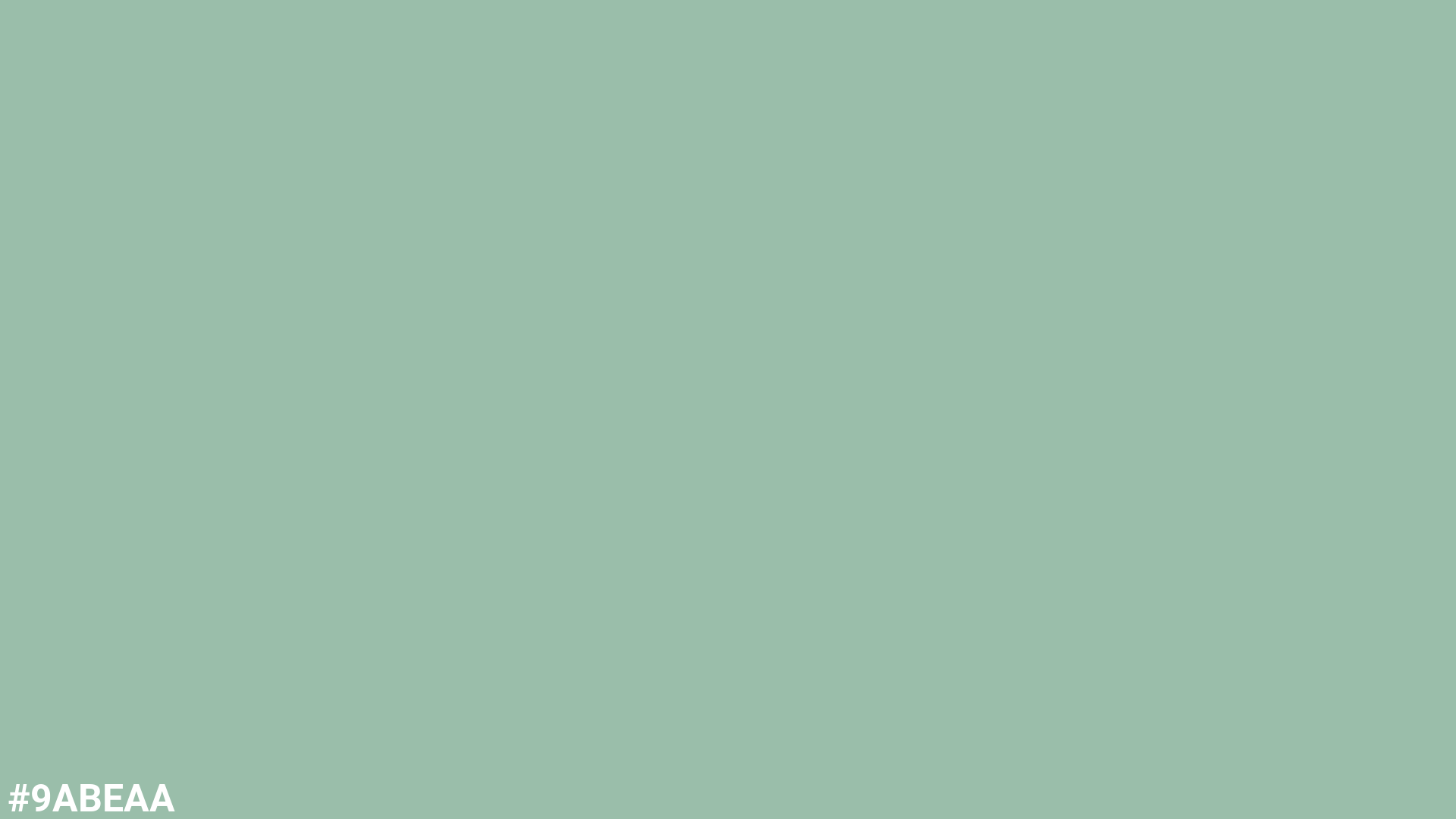 Pantone 558 C | #9ABEAA - Detailed Color Information and Usage