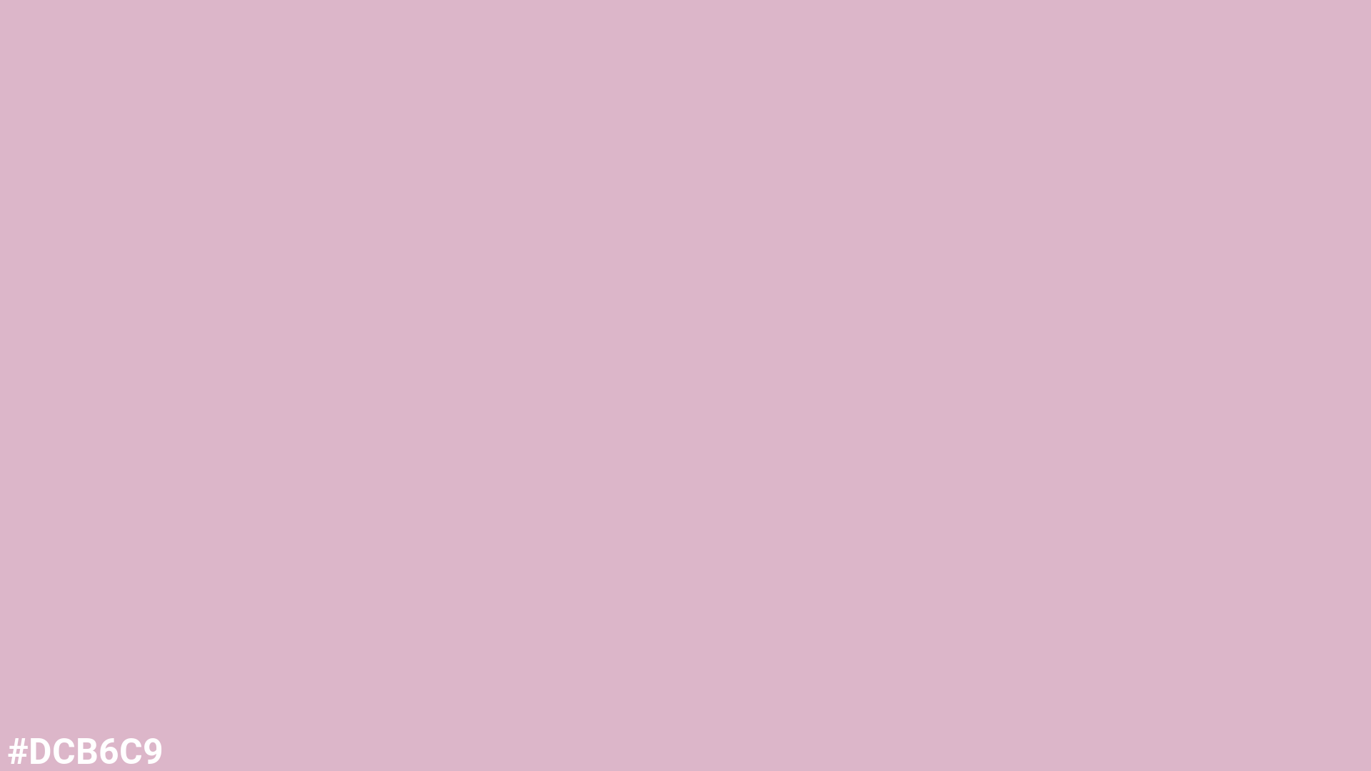 Pantone 685 C | #dcb6c9 - Detailed Color Information and Usage