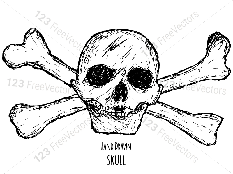 Hand-Drawn Skulls Illustration