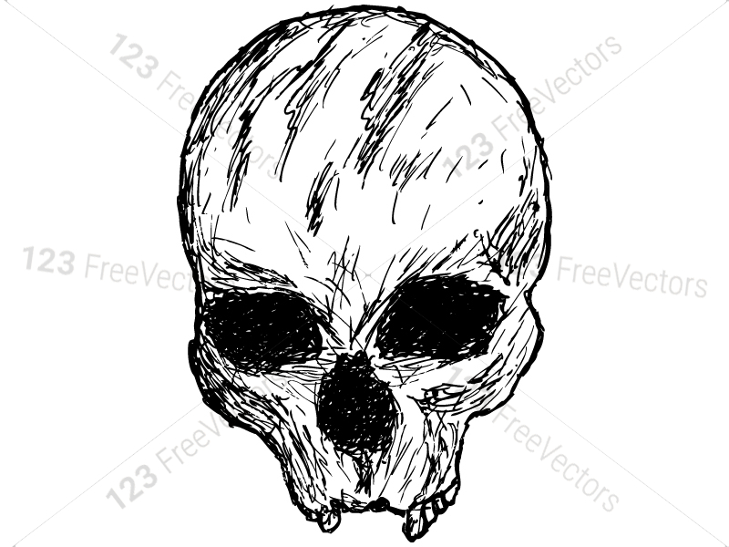 Hand-Drawn Skulls Illustration