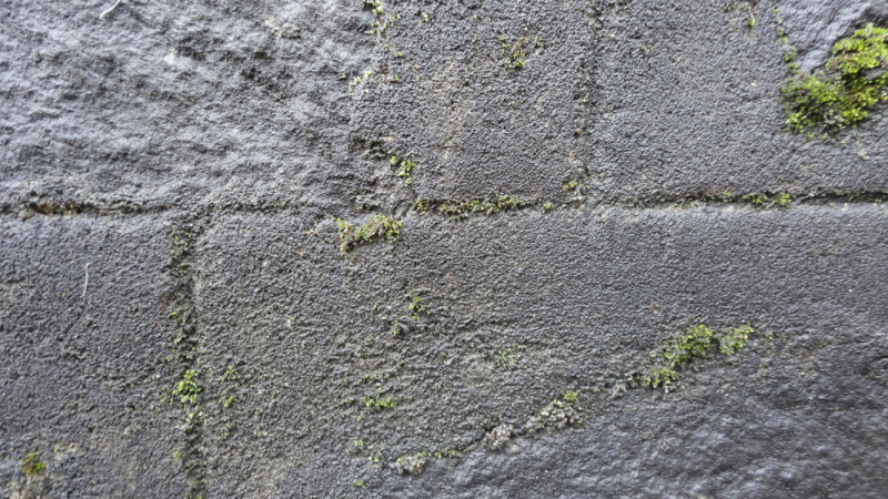Wet Stone Wall Textures 01