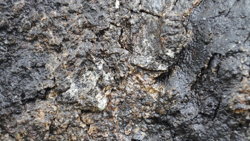 Wet Stone Wall Textures 01